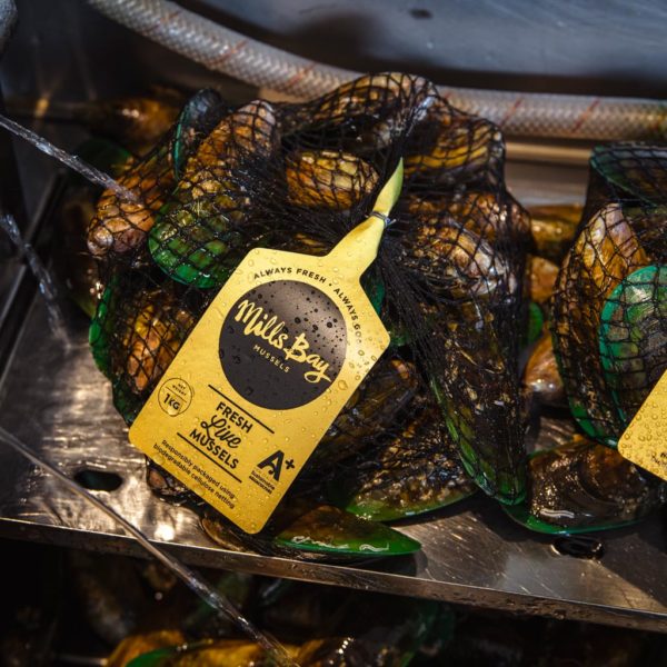 Net Bags - Live Mussels - Mills Bay Mussels