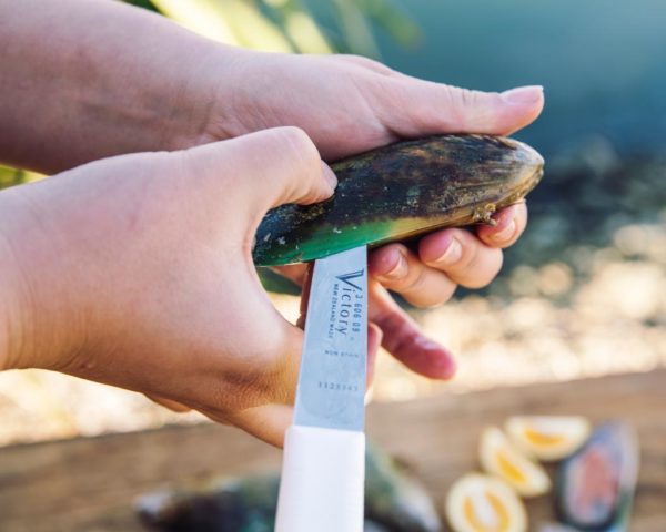The Raw Shuck Revolution - Mills Bay Mussels